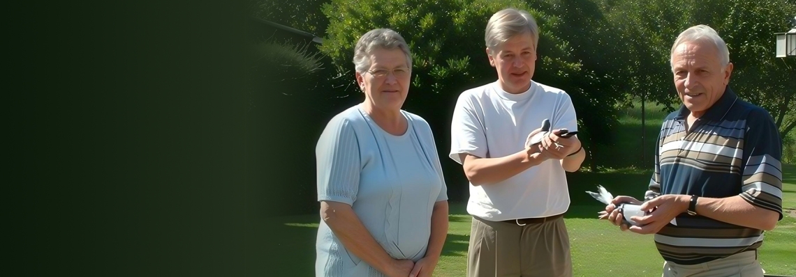 European Pigeon Website